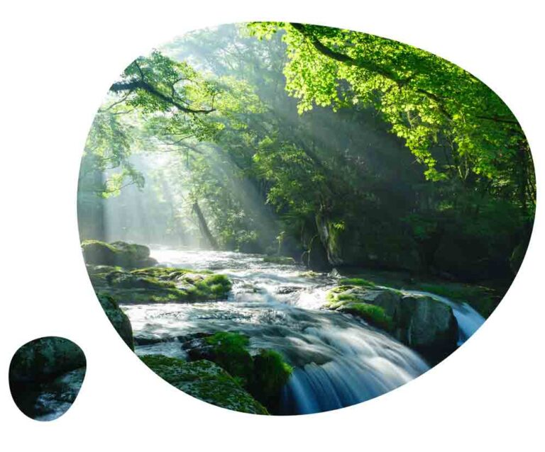 Le traitement des eaux usées : Définition, étapes et objectifs