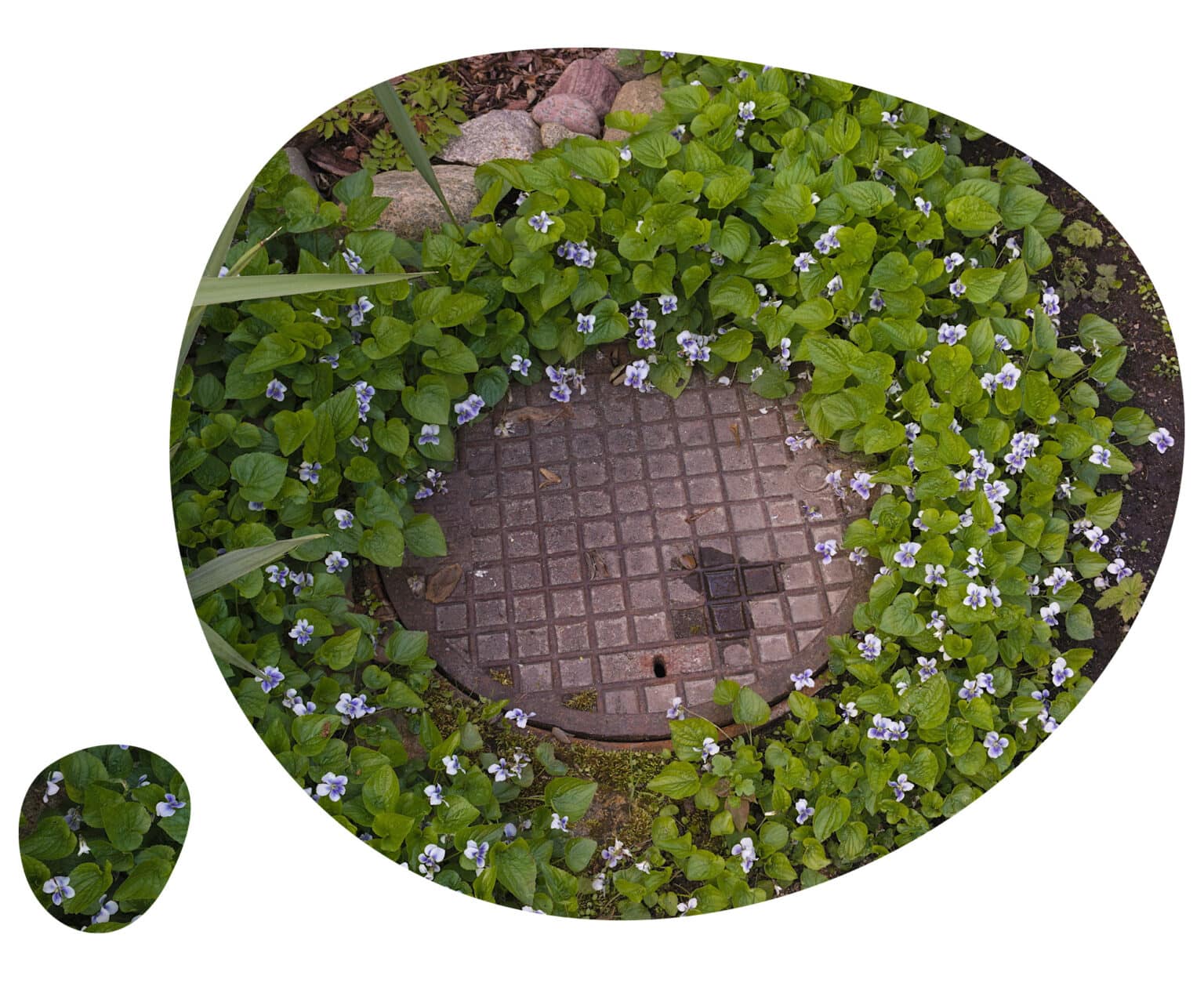 Comment fonctionne une fosse septique ? Guide complet