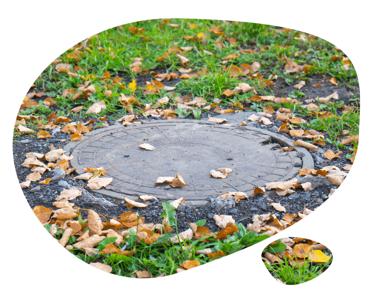 Le guide complet sur la fosse toutes eaux