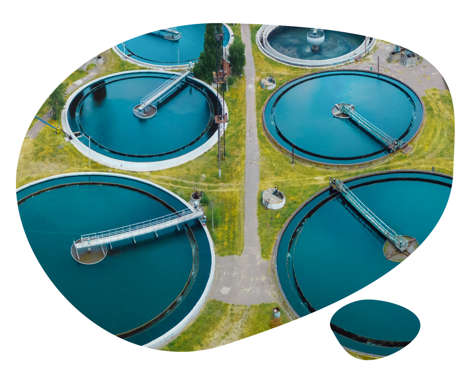 Le traitement biologique des eaux usées